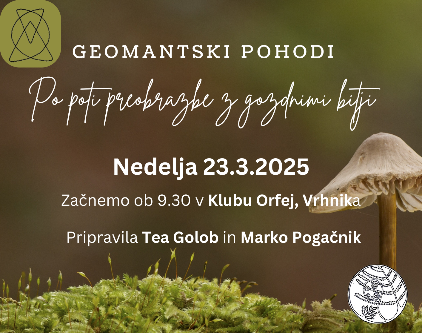 Geomantski pohodi PO POTI PREOBRAZBE Z GOZDNIMI BITJI - Čarna Praprot
